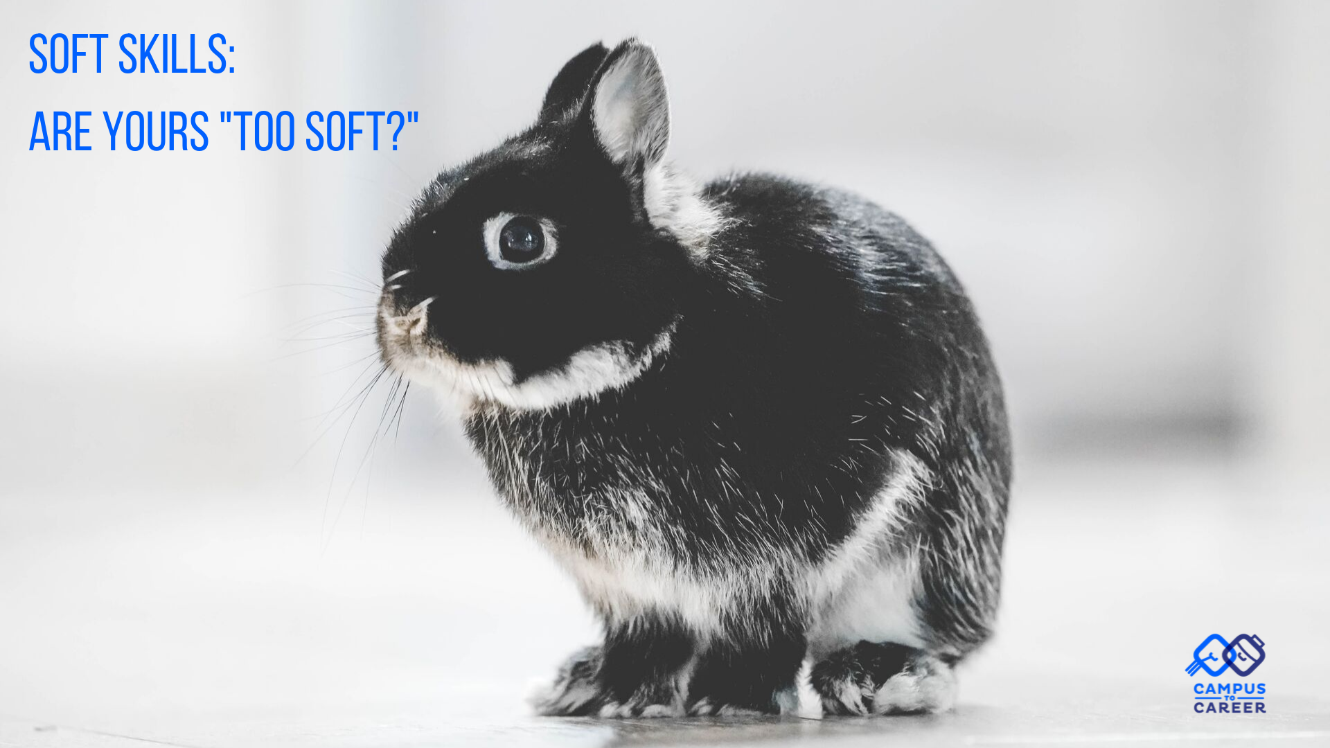 [PODCAST] Are Your Soft Skills “Too Soft?” – Campus To Career
